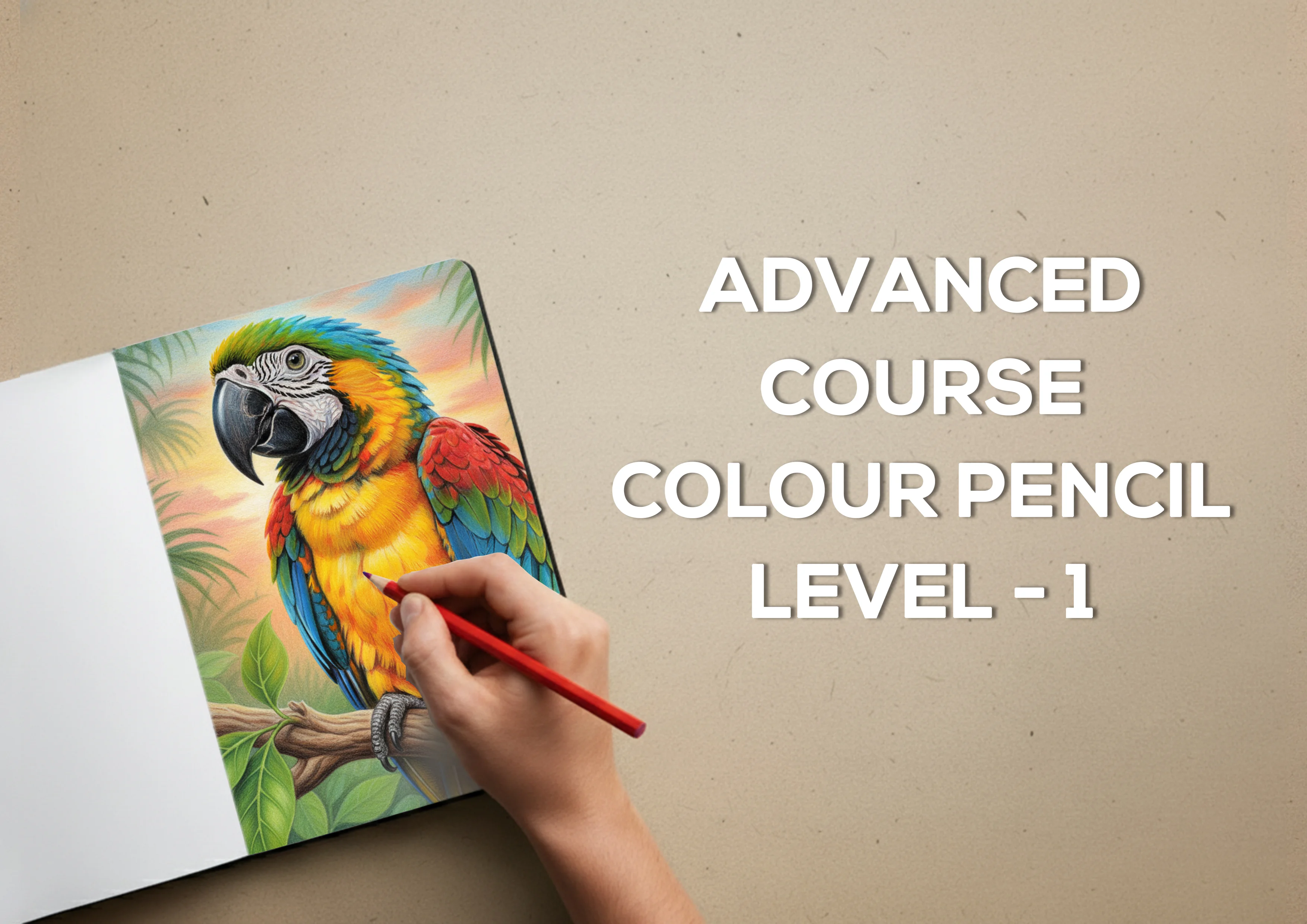 Advanced Course - Colour Pencil level-1 - Offline, Online, Part-Time ...